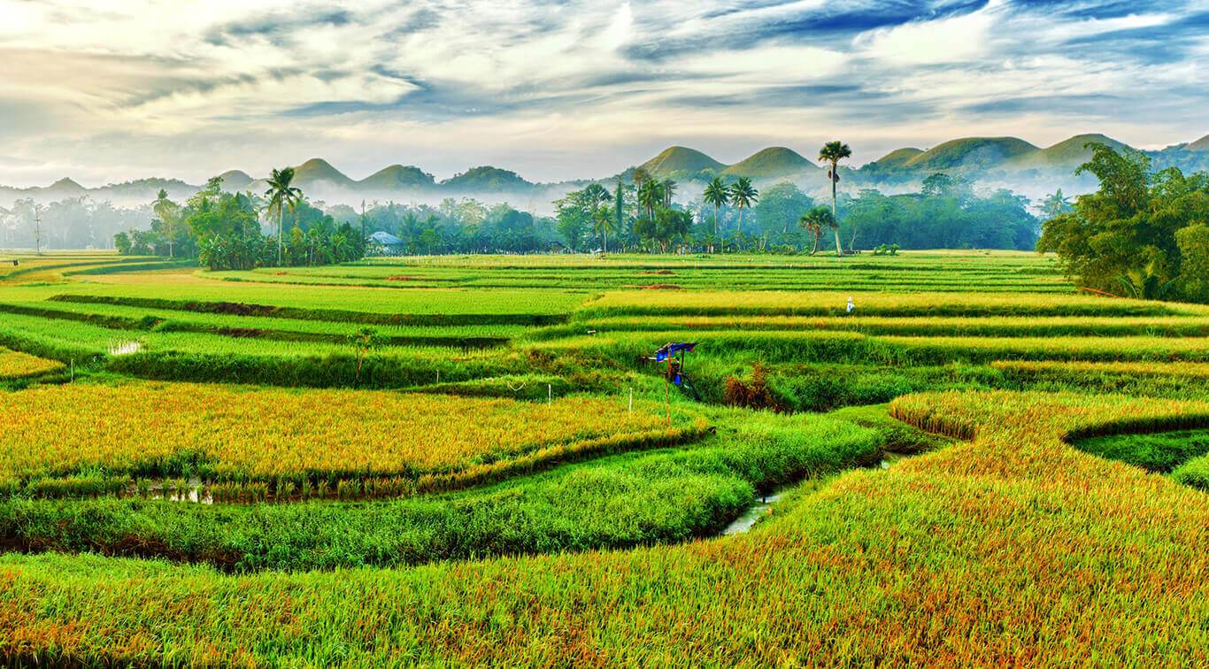 Blue Horizons Travel